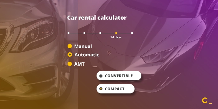 Interactive Data Visualization Guide 2024 | CALCONIC_